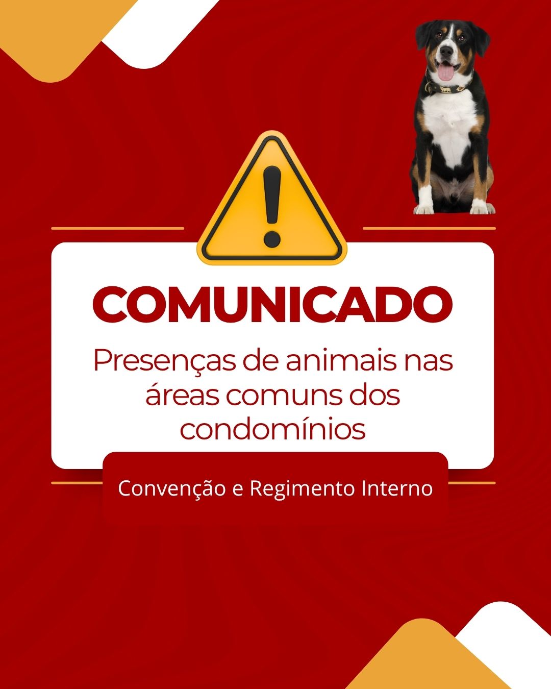Regras Para Animais Nas Áreas comuns dos condomínios - Maneschy Advogado